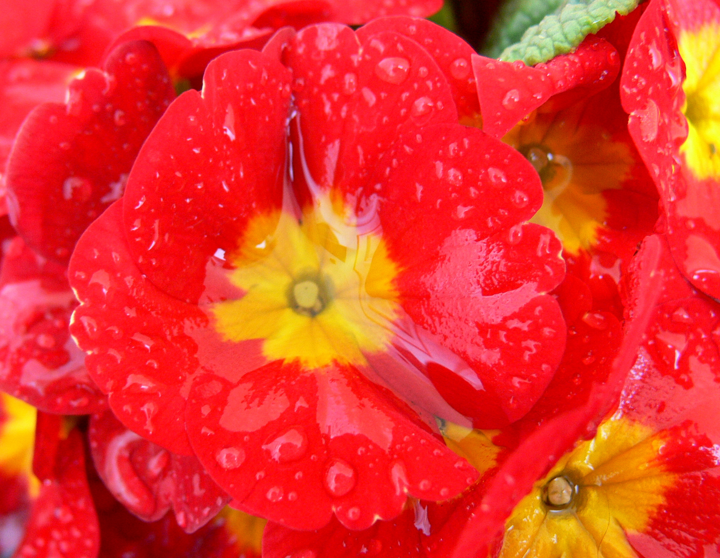 Another week nearly over – Magnumlady Blog