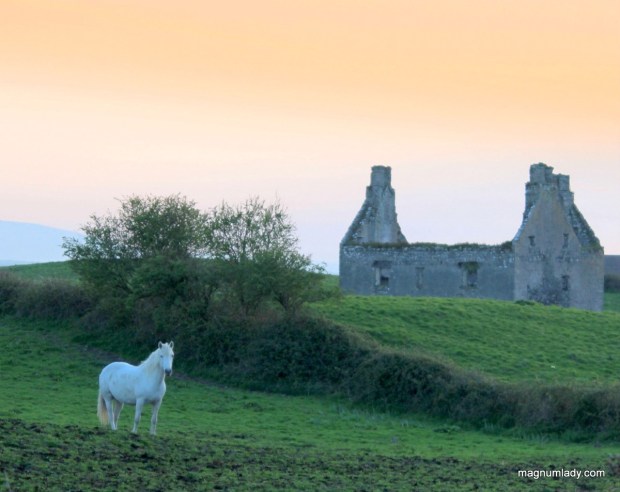 Free things to see and do in Sligo. Summer 2017