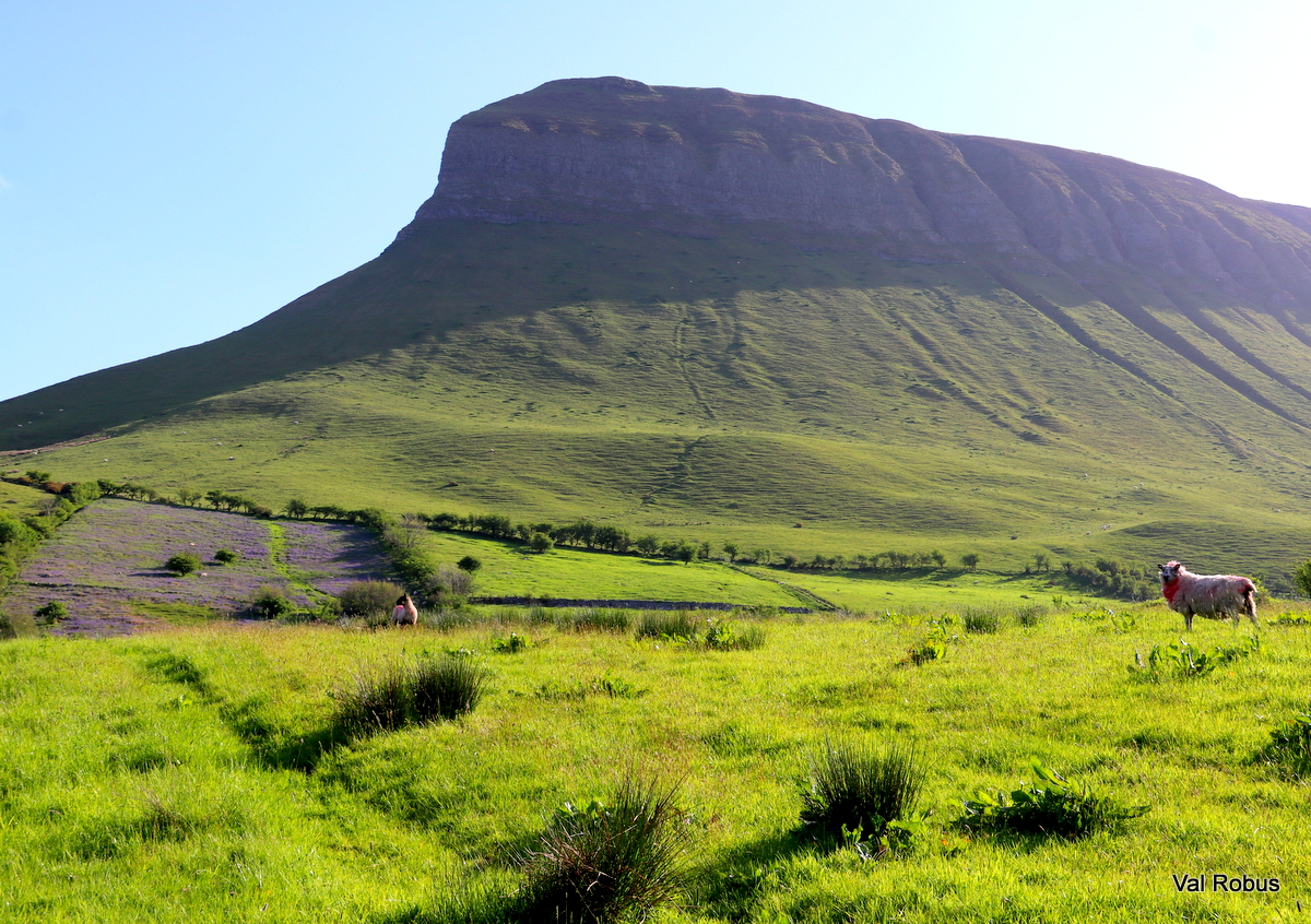 Benbulben and the Bluebells – Magnumlady Blog