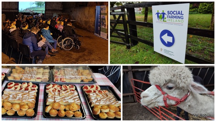 Social Farming in Sligo – Quarryfield Farm